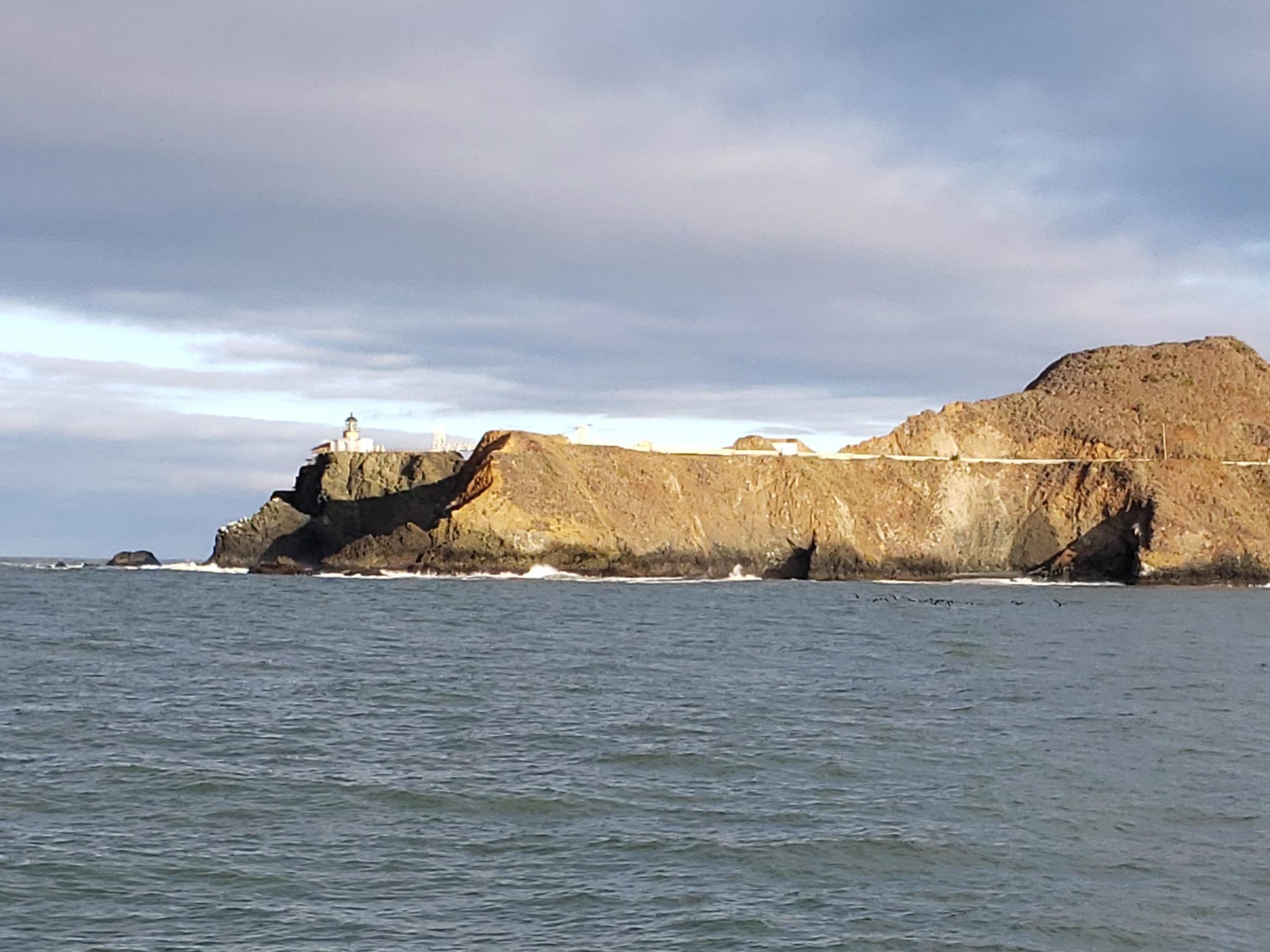 How to Fish for Halibut in San Francisco Bay: The Complete Guide for 2024