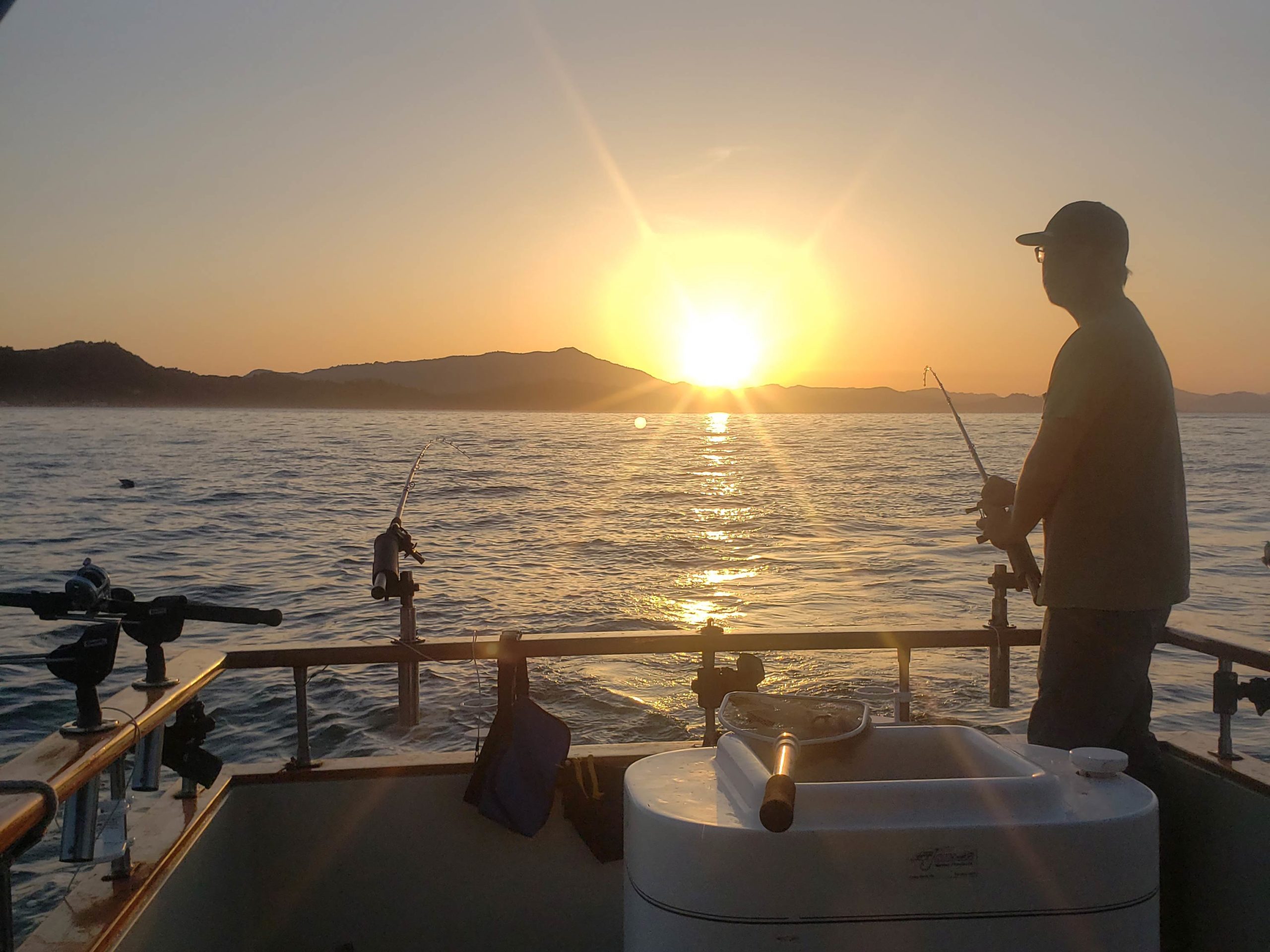 How to Fish for Halibut in San Francisco Bay: The Complete Guide for 2024