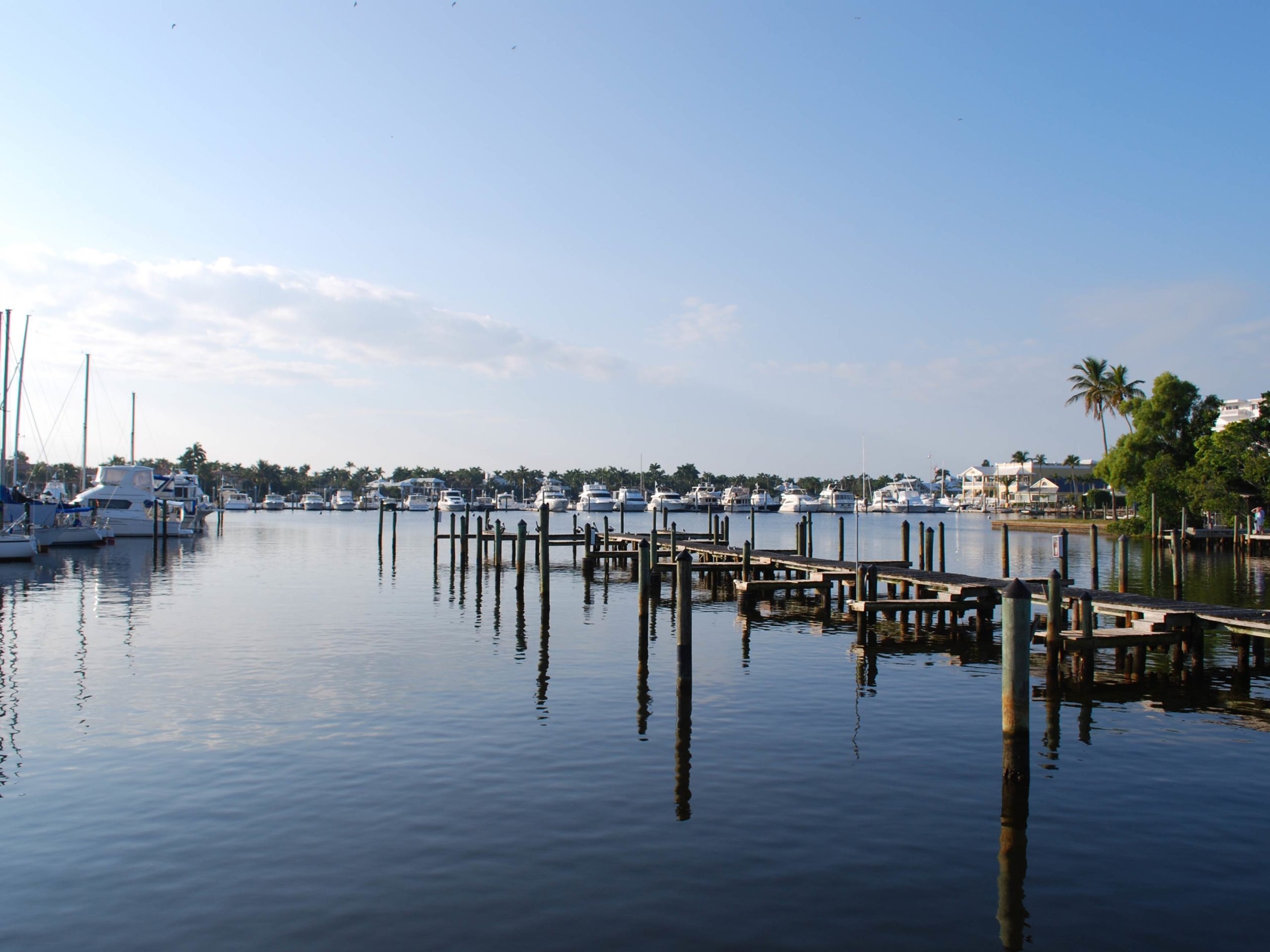 How to Go Deep Sea Fishing in Naples: The Complete Guide for 2025