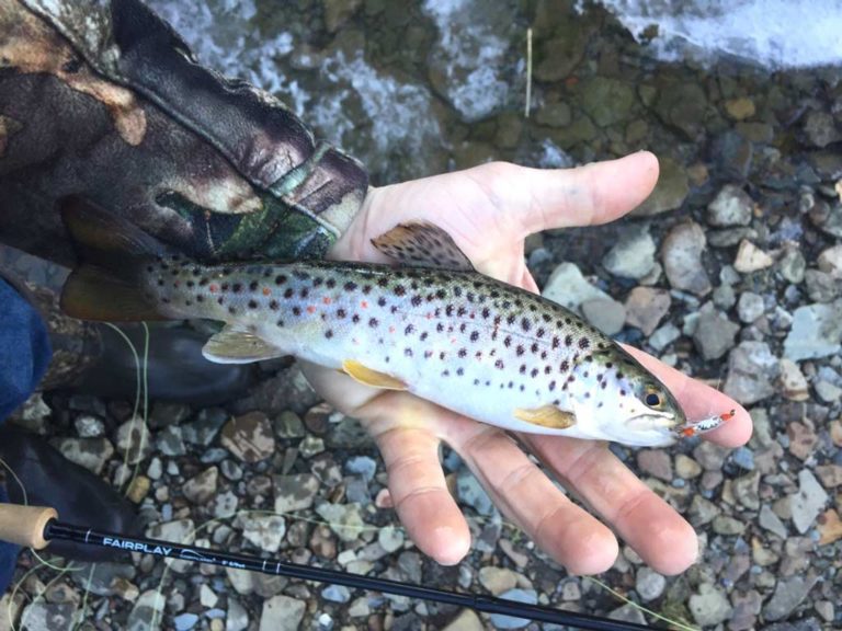 Fishing Seasons in Pennsylvania: The Complete Guide for 2026