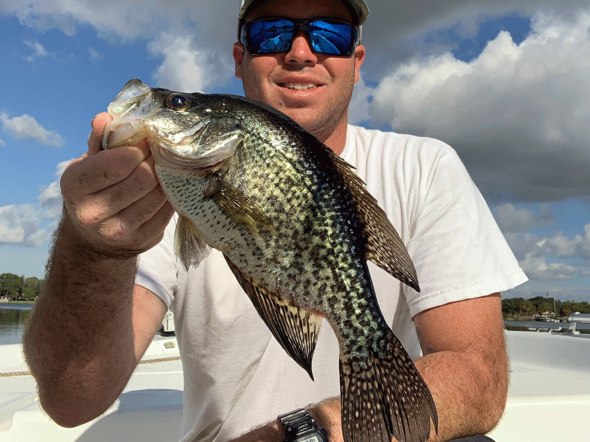 How to Fish for Crappie in Florida: The Complete Guide for 2025