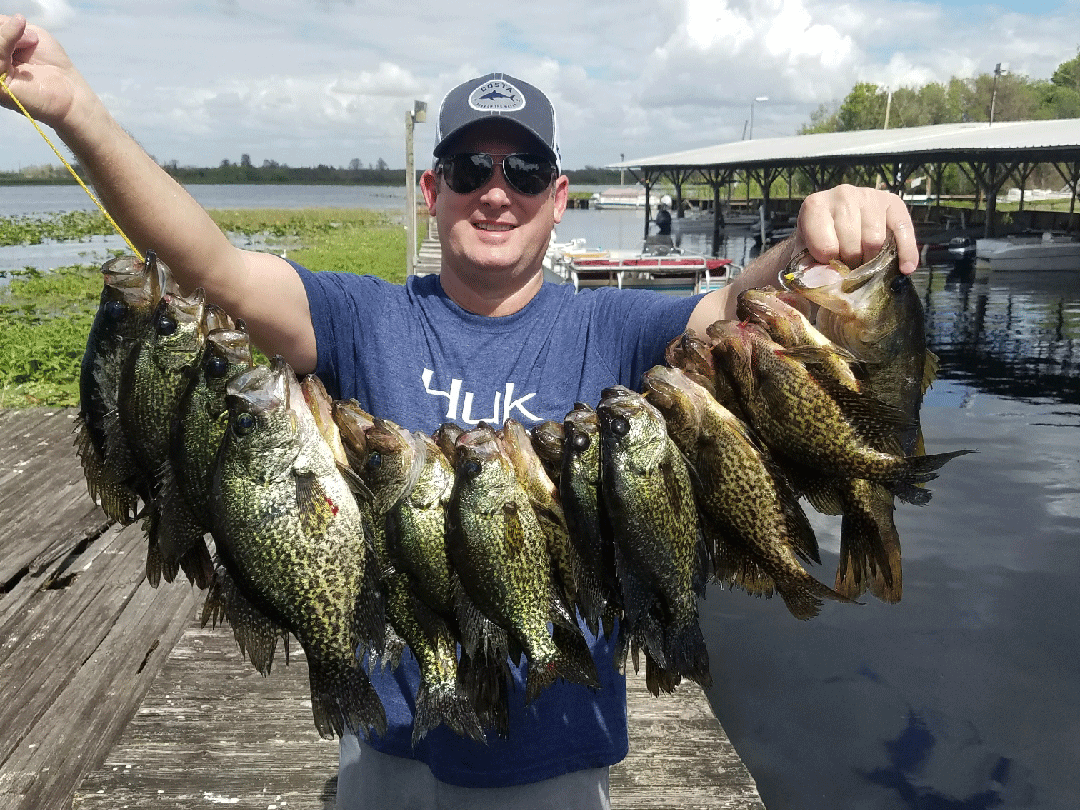 How to Fish for Crappie in Florida: The Complete Guide for 2024