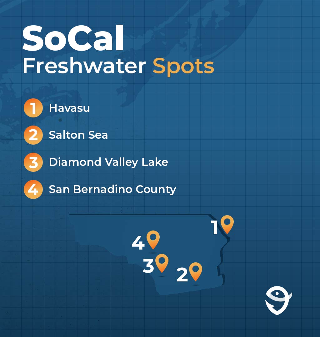 Fishing in SOUTHERN CALIFORNIA: The Complete Guide