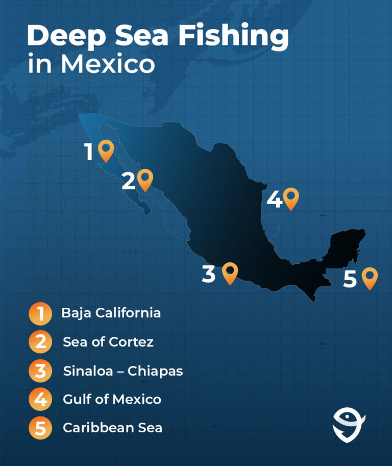 How to Go Deep Sea Fishing in Mexico: The Complete Guide for 2024