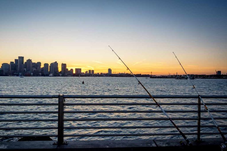 Fishing in BOSTON: The Complete Guide