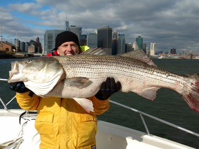Fishing in NYC: The Complete Guide