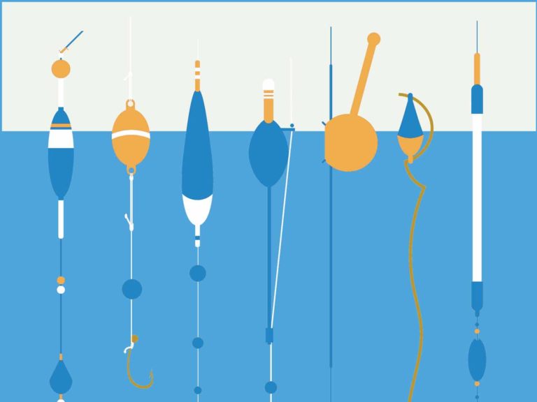 Beginner Fishing Setup: A Complete Guide for 2024