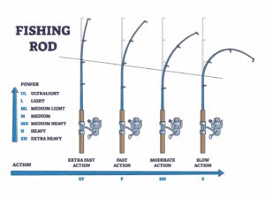Beginner Fishing Setup: A Complete Guide for 2024