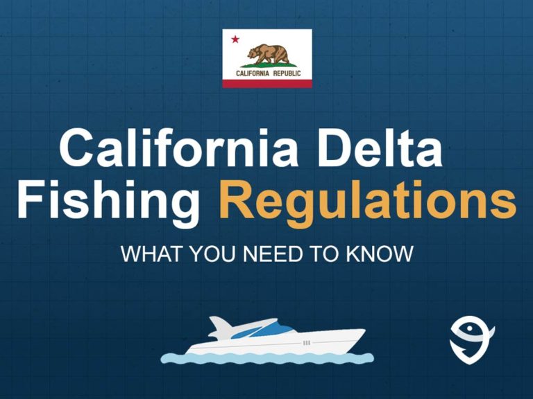 Fishing in CALIFORNIA DELTA: The Complete Guide