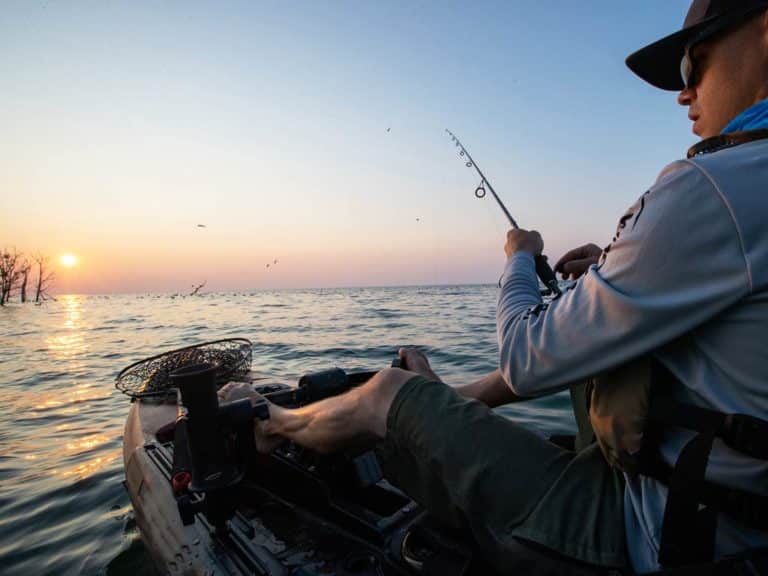 Fishing in CALIFORNIA DELTA: The Complete Guide [VIDEO]