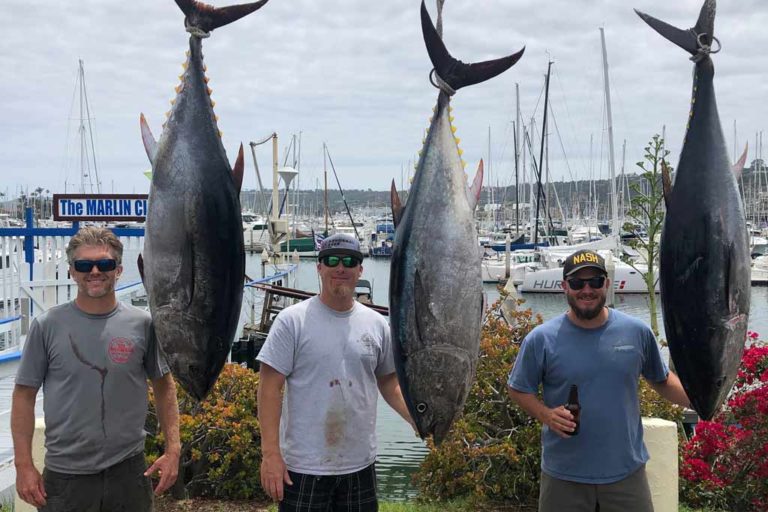 How to Fish for Bluefin Tuna in San Diego: The Complete Guide for 2025