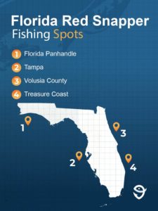 How to Fish for Red Snapper in Florida: The Complete Guide for 2024