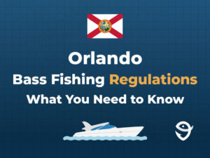 Fishing in ORLANDO: The Complete Guide