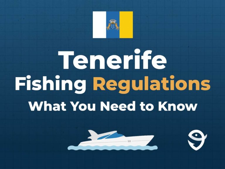 Fishing in TENERIFE: The Complete Guide