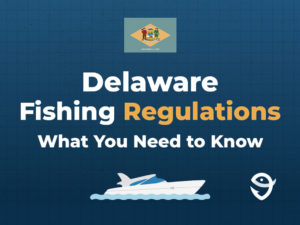 Fishing in DELAWARE: The Complete Guide