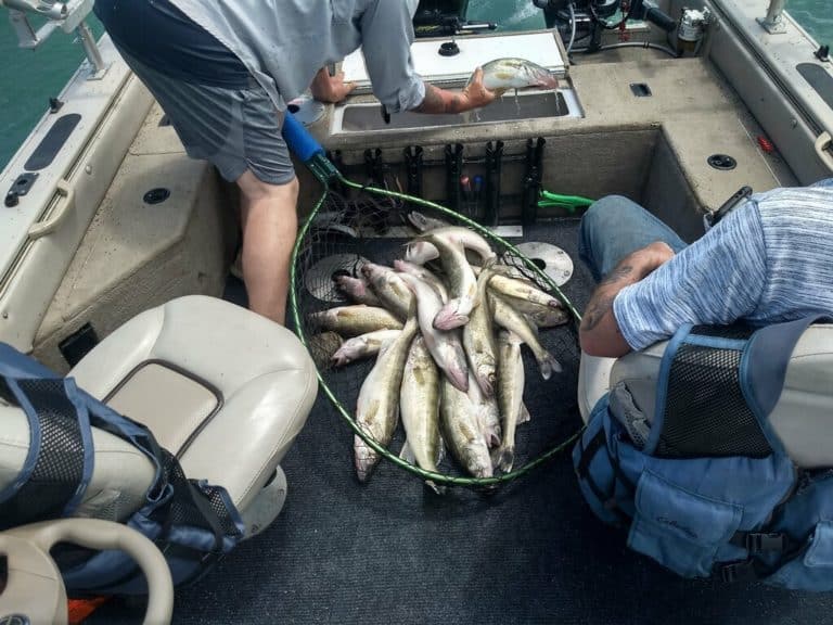 Fishing in PORT CLINTON: The Complete Guide