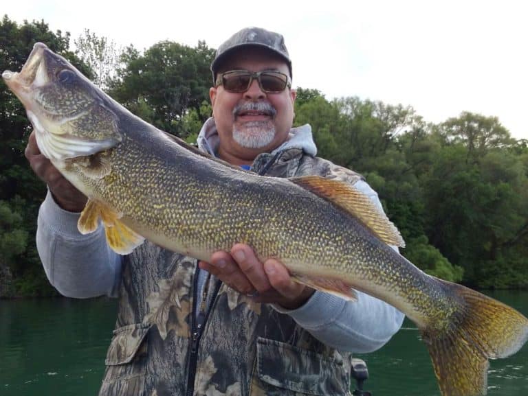 Fishing in BUFFALO: The Complete Guide