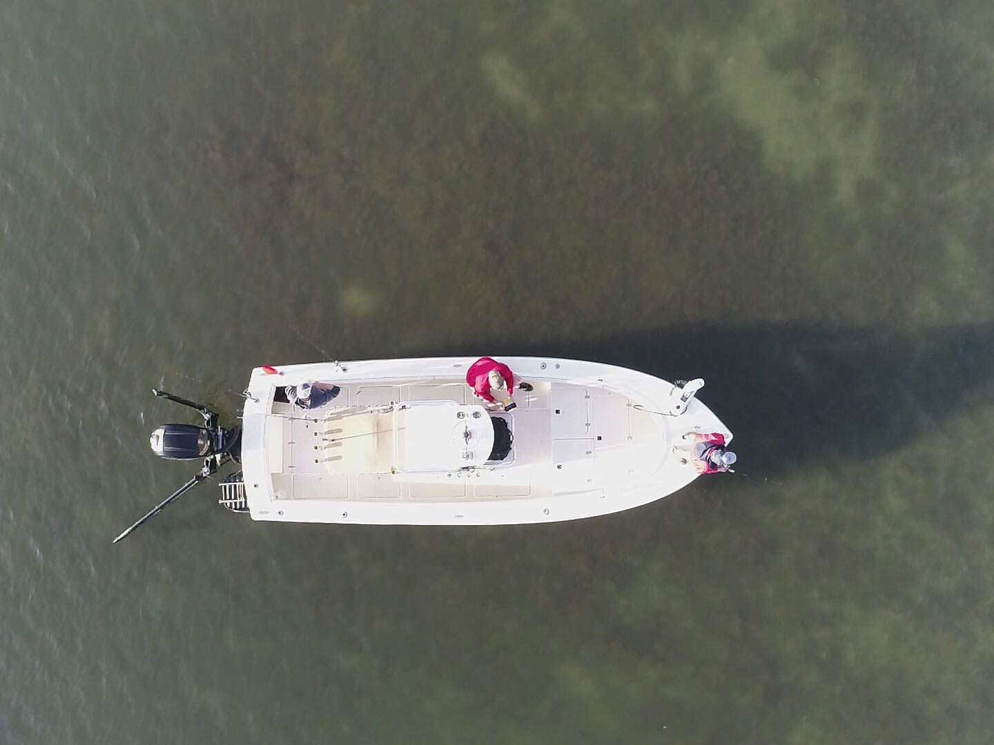 How to Fish for Slob Snook in Florida: The Complete Guide for 2025