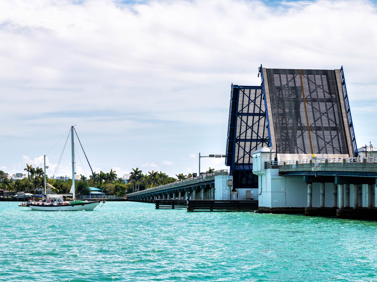 Pier Fishing in Miami: The Complete Guide