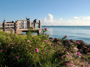 Fishing in KEY BISCAYNE: The Complete Guide