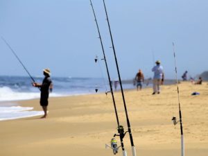 Surf Fishing Rods: A Beginner’s Guide for 2025