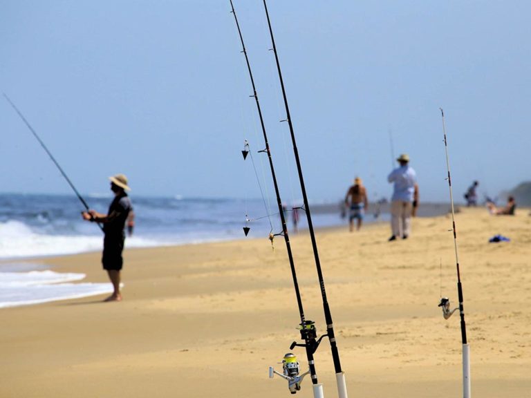 The Best Rigs for Beach Fishing: A Beginner’s Guide for 2026