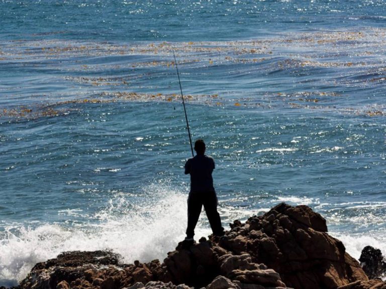Fishing in CAPE COD: The Complete Guide [VIDEO]
