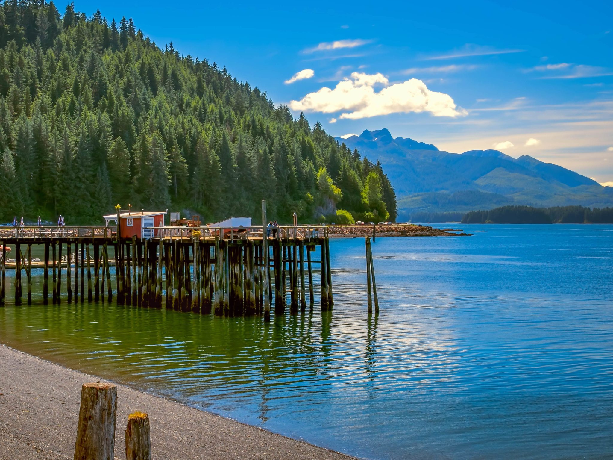 Fishing in KETCHIKAN: The Complete Guide [VIDEO]
