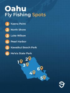 Oahu Fly Fishing: The Complete Guide for 2025