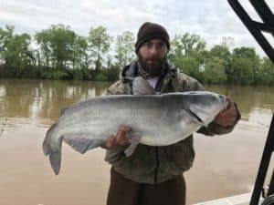 Fishing in TENNESSEE RIVER: The Complete Guide