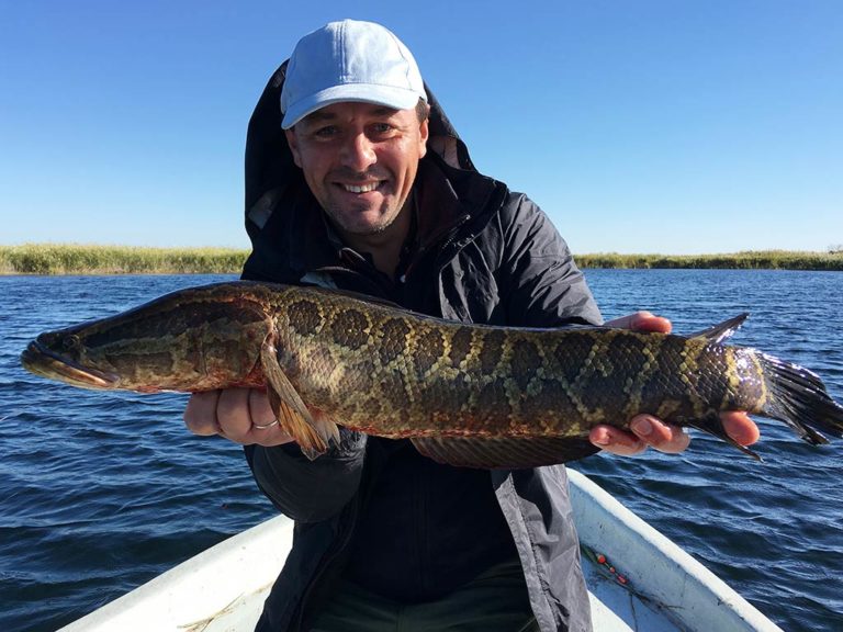 Fishing in SINGAPORE: The Complete Guide