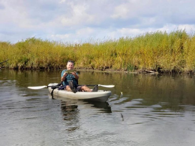 Fishing in FOX RIVER: The Complete Guide