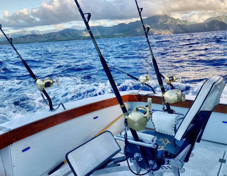 How to Fish for Kingfish: An Angler’s Guide for 2026
