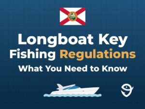 FishingBooker: Longboat Key Fishing: The Complete Guide for 2024