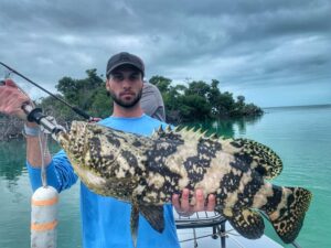 How to Get a Florida Goliath Grouper Harvest Permit for 2026