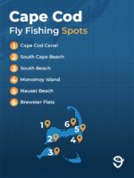 Cape Cod Fly Fishing: The Complete Guide for 2024