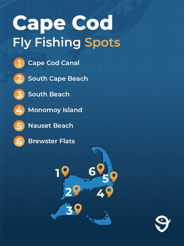 Cape Cod Fly Fishing: The Complete Guide for 2026