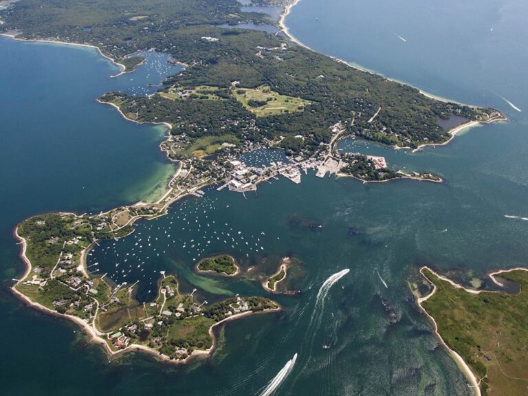 Cape Cod Fly Fishing: The Complete Guide for 2026