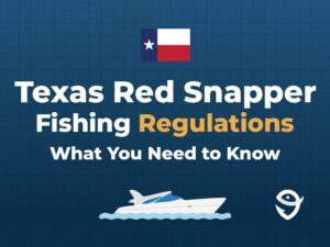 Red Snapper Fishing in Texas for 2024