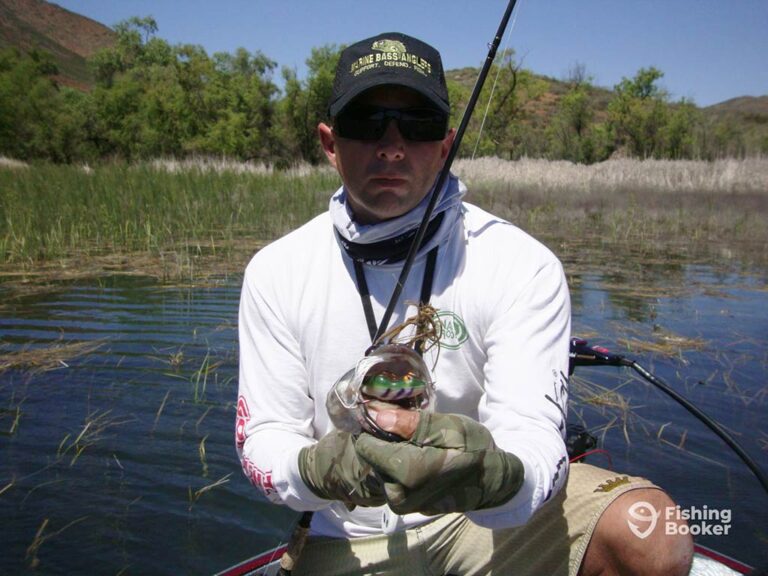 Bass Fishing in California: An Angler’s Guide for 2026