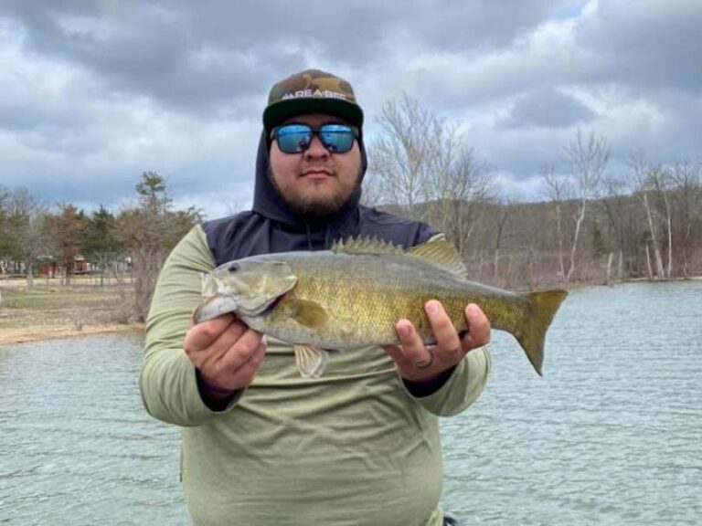 Table Rock Lake Bass Fishing: An Angler's Guide
