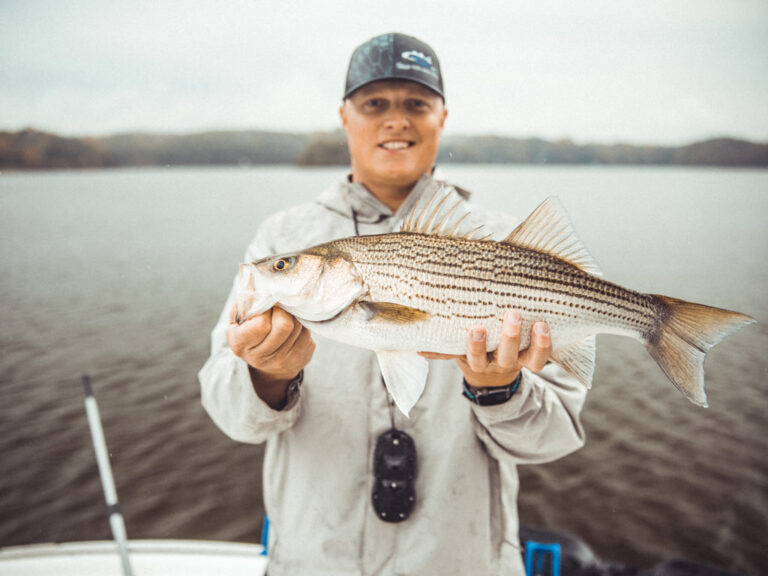 Photo courtesy of Set’n Hooks Guide Service.