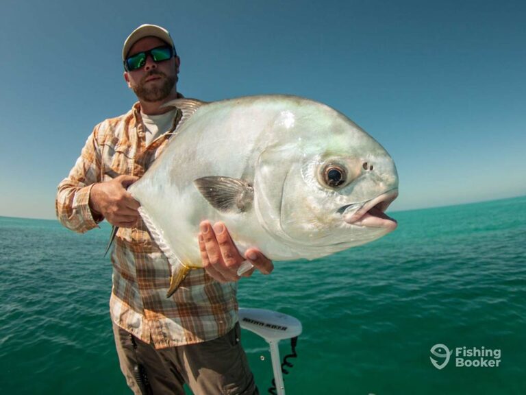 Fish Species: The Ultimate Guide for 2024