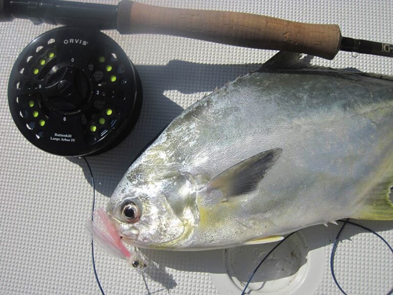 How to Go Fly Fishing for Florida Pompano: An Angler’s Guide for 2024
