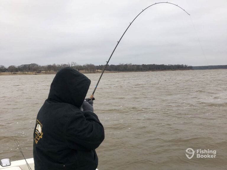 Fishing in KINGSTON: The Complete Guide