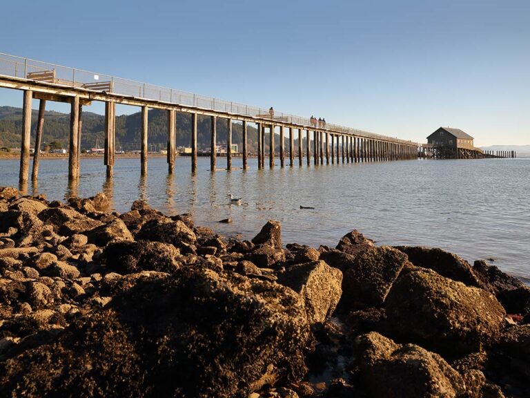 Garibaldi Fishing: The Complete Guide for 2023