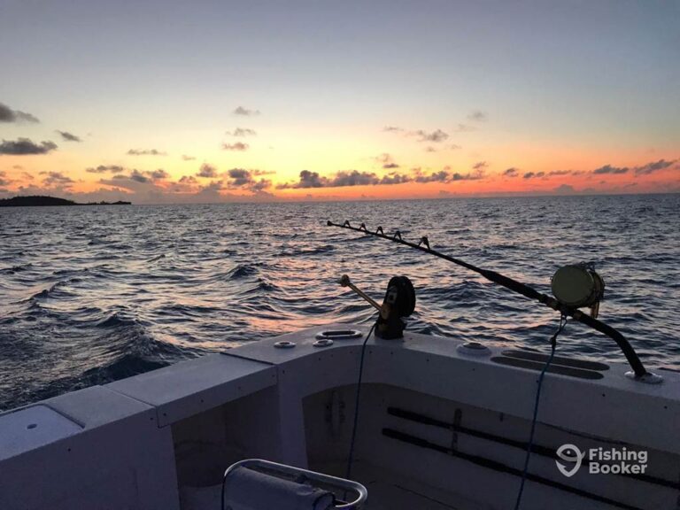 Photo courtesy of Atlantic Spray Charters