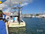 Fishing in BERMUDA: The Complete Guide