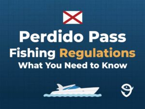 Fishing in PERDIDO PASS: The Complete Guide