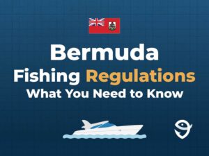 Fishing in BERMUDA: The Complete Guide